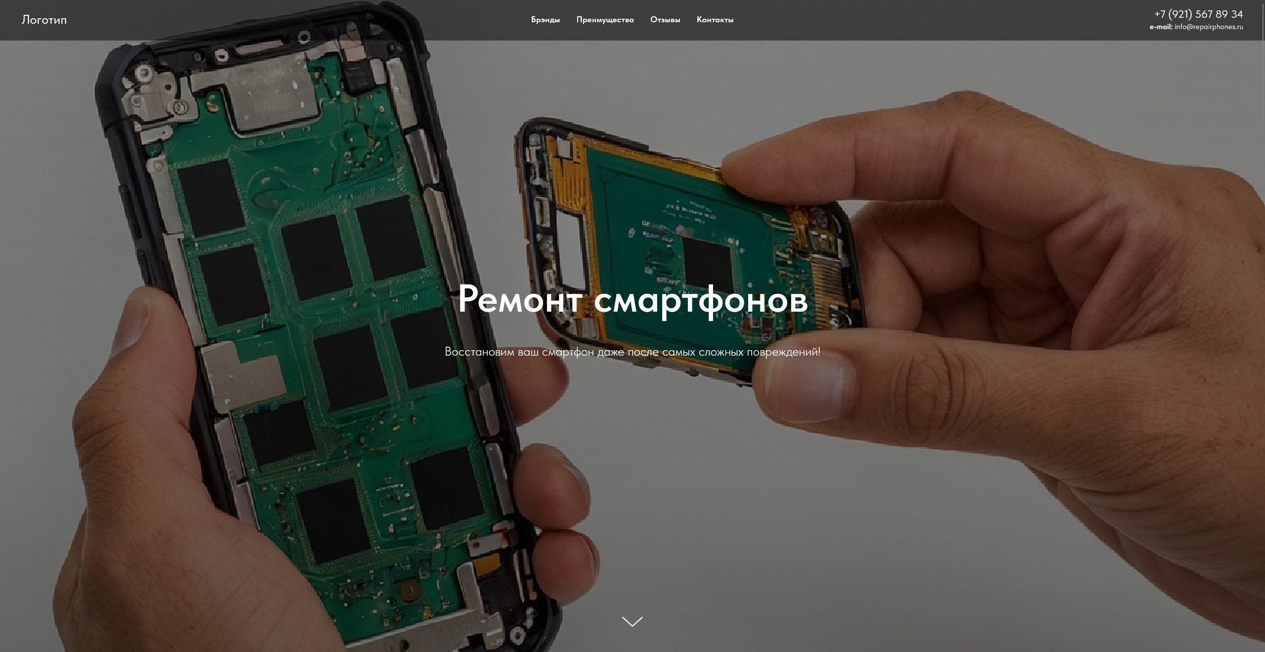 Sofia Lisina: webdesign